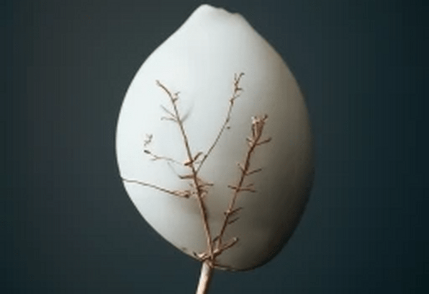 FOX PROCESS | Linksium