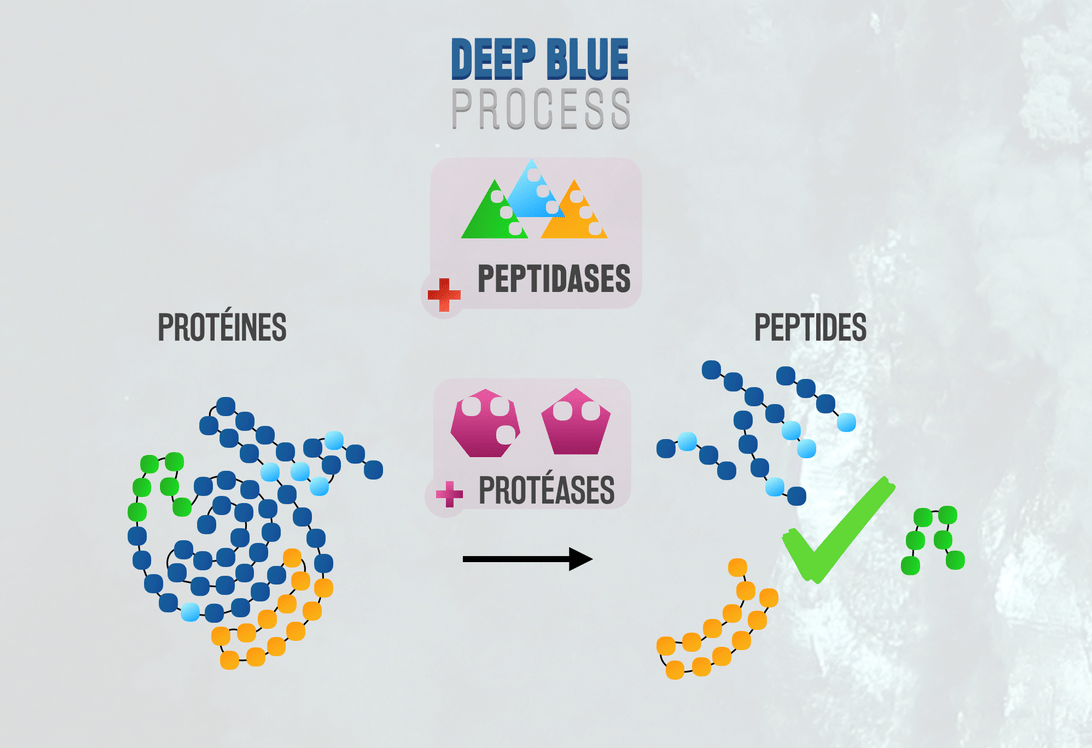 DEEP BLUE PROCESS | Linksium