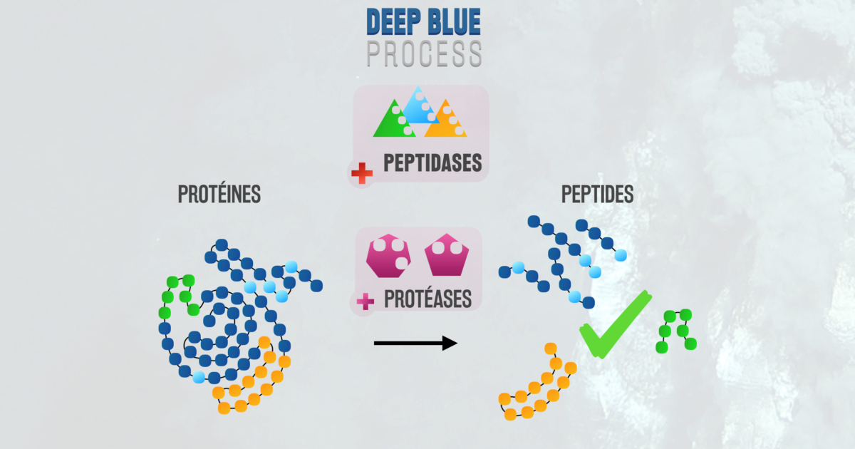 DEEP BLUE PROCESS | Linksium