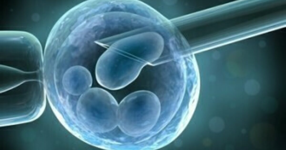 CELL-TEREO | Linksium